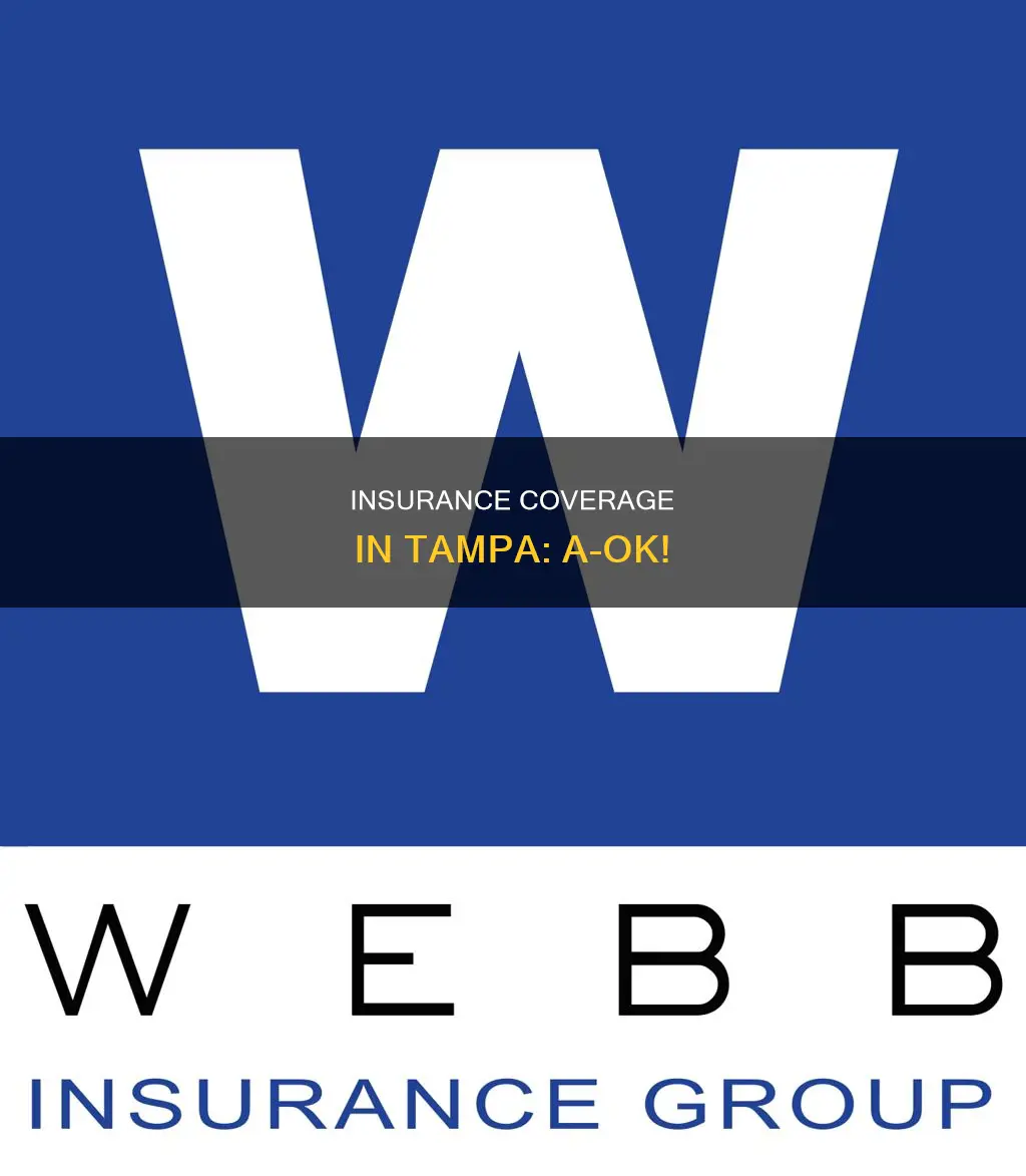 Insurance Coverage In Tampa: A-Ok! | ShunIns