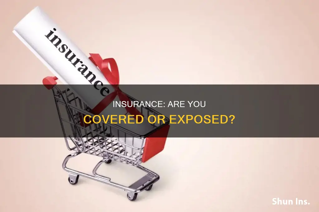 Insurance: Are You Covered Or Exposed? | ShunIns