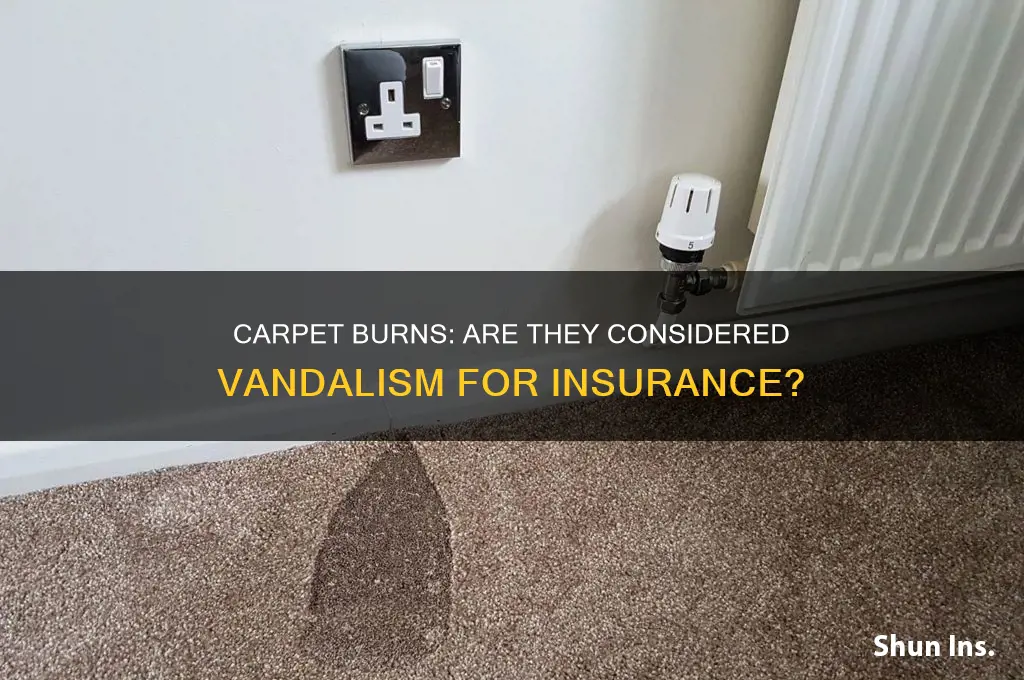 Carpet Burns: Are They Considered Vandalism For Insurance? | ShunIns