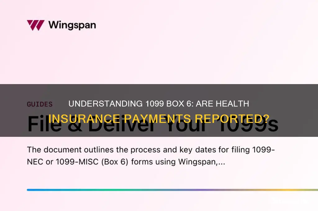 Understanding 1099 Box 6: Are Health Insurance Payments Reported? | ShunIns
