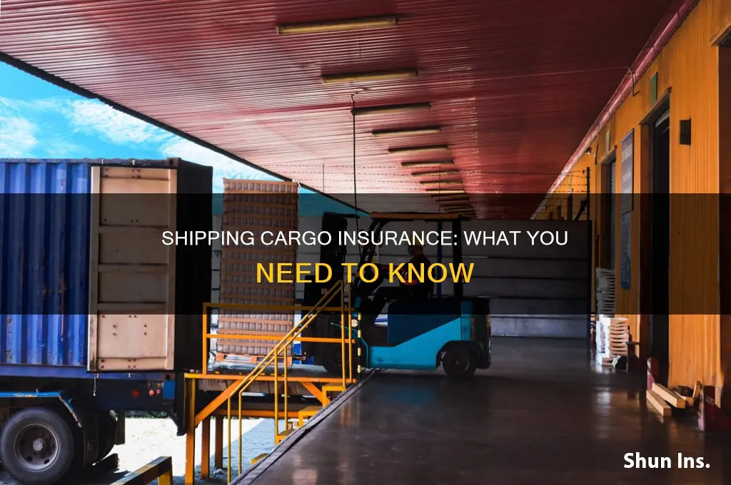 Shipping Cargo Insurance: What You Need To Know | ShunIns