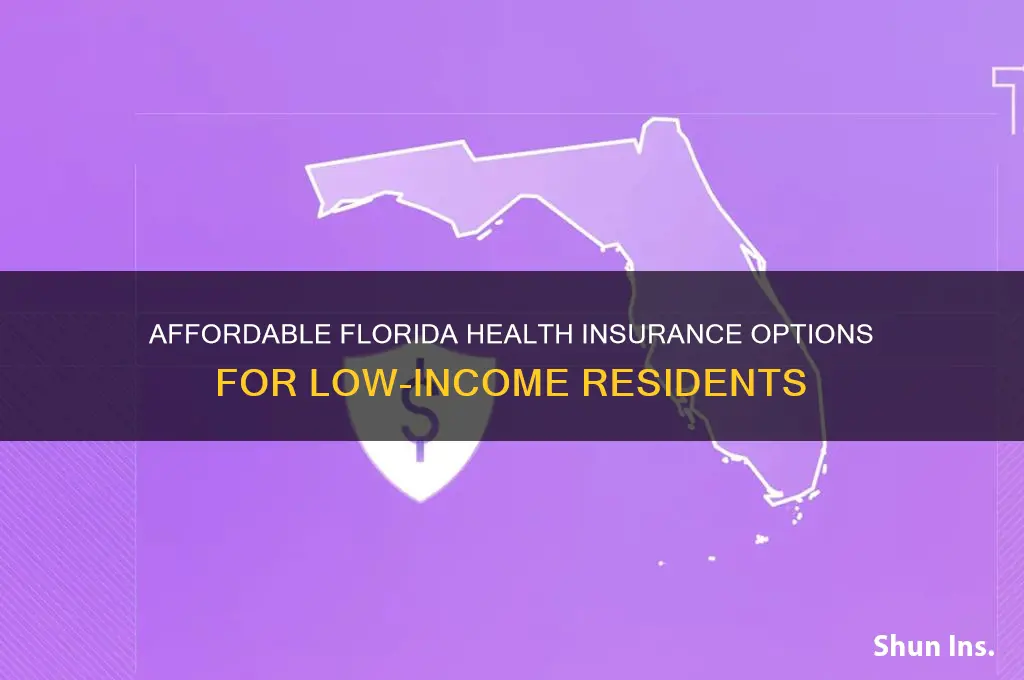 Affordable Florida Health Insurance Options For Low-Income Residents ...