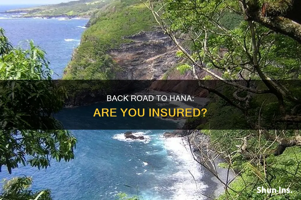 Back Road To Hana: Are You Insured? | ShunIns