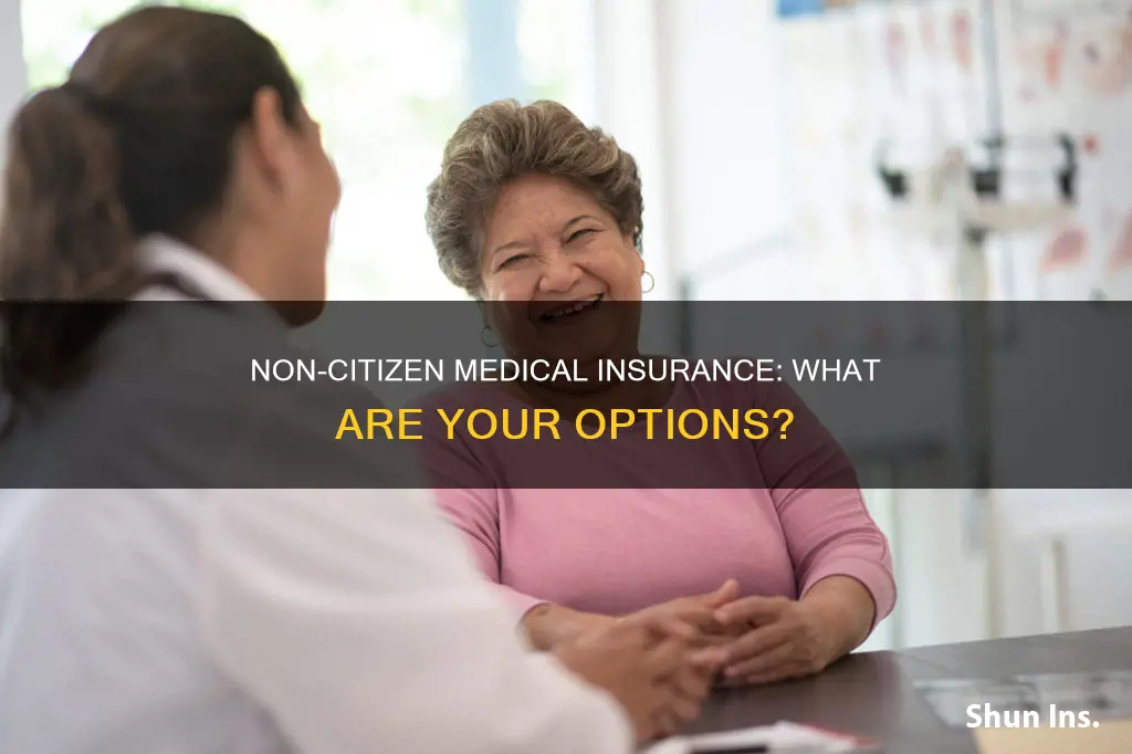 Non-Citizen Medical Insurance: What Are Your Options? | ShunIns