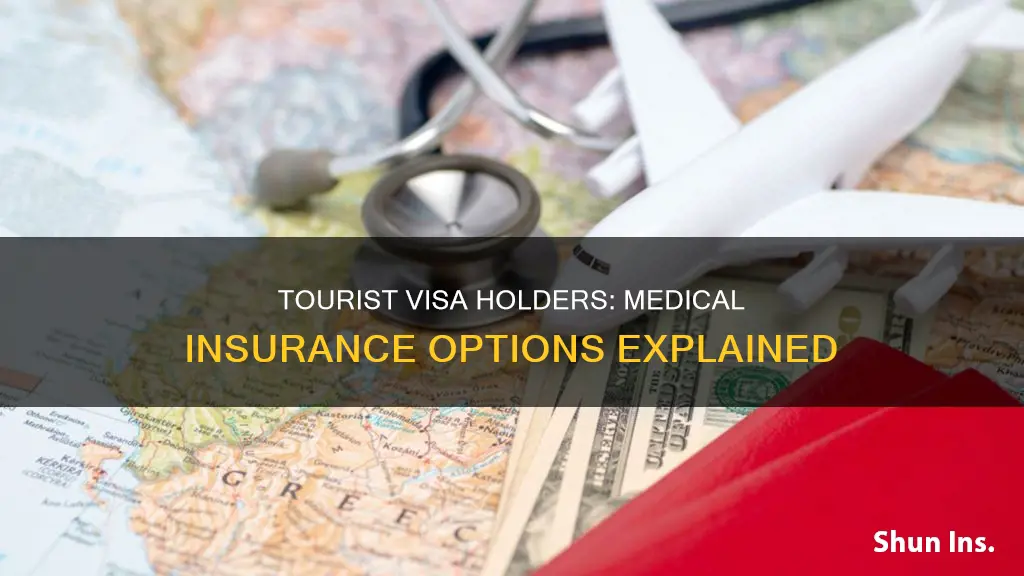 Tourist Visa Holders: Medical Insurance Options Explained | ShunIns