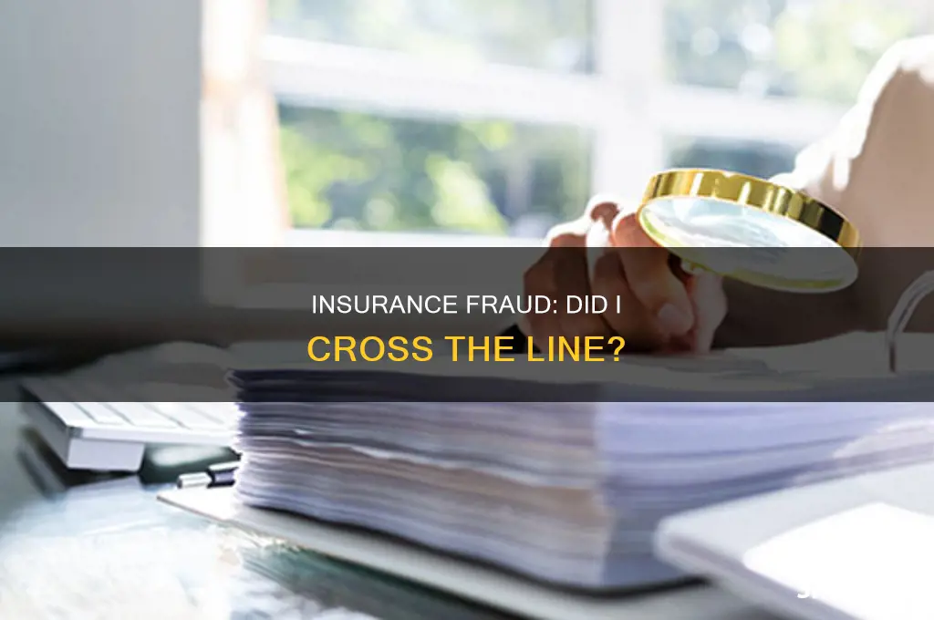 Insurance Fraud: Did I Cross The Line? | ShunIns