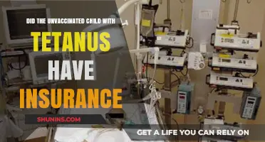 Was The Titanic Insured? Uncovering The Truth About Its Coverage | ShunIns