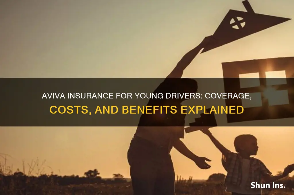 Aviva Insurance For Young Drivers: Coverage, Costs, And Benefits ...