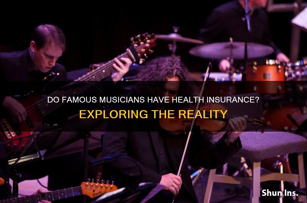 Do Famous Musicians Have Health Insurance? Exploring The Reality | ShunIns