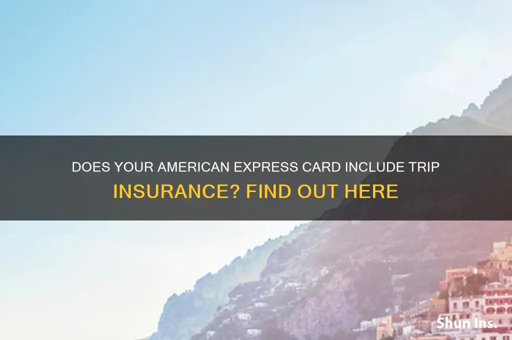 Does Your American Express Card Include Trip Insurance? Find Out Here ...