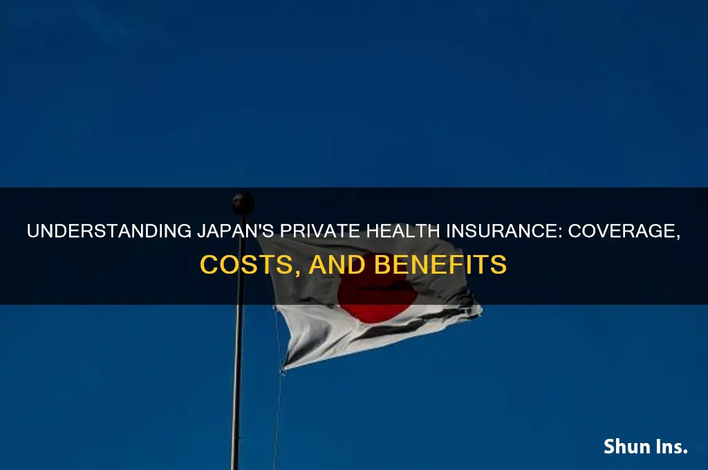 National Health Insurance Vs Private Insurance In Japan