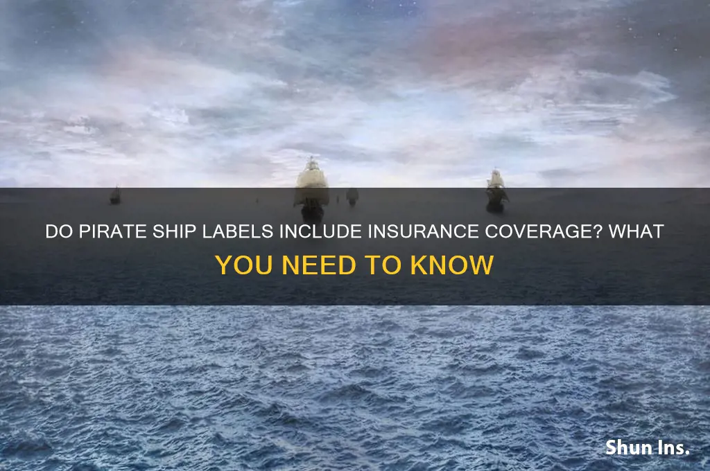 Do Pirate Ship Labels Include Insurance Coverage? What You Need To Know ...