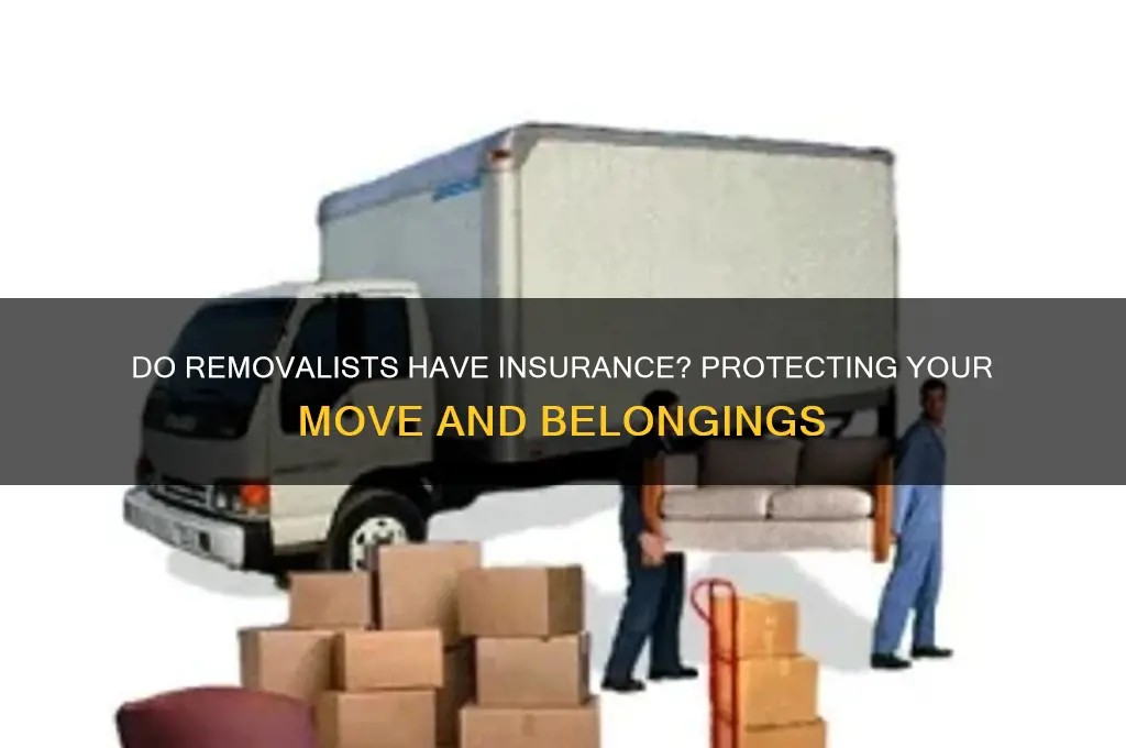 Do Removalists Have Insurance? Protecting Your Move And Belongings ...
