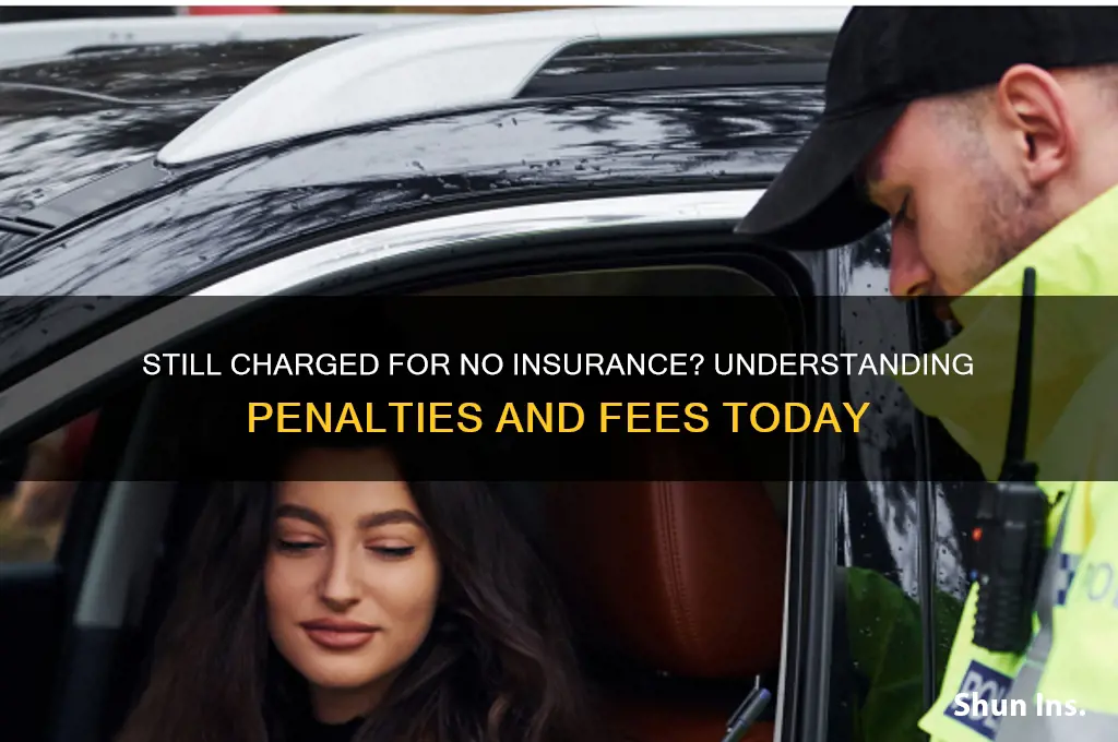 Still Charged For No Insurance? Understanding Penalties And Fees Today ...