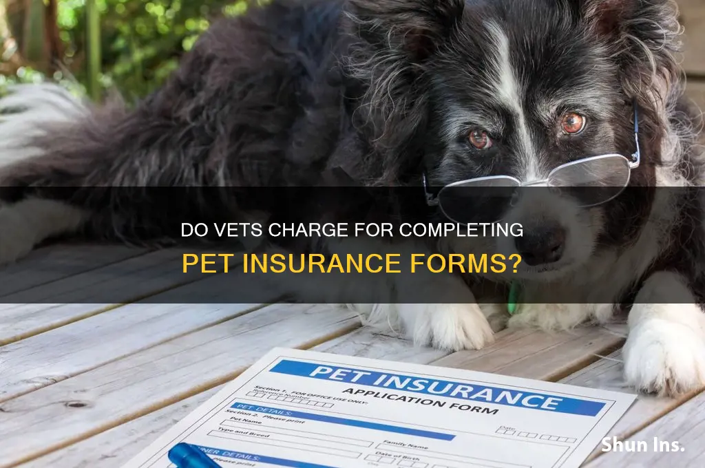 Do Vets Charge For Completing Pet Insurance Forms? | ShunIns