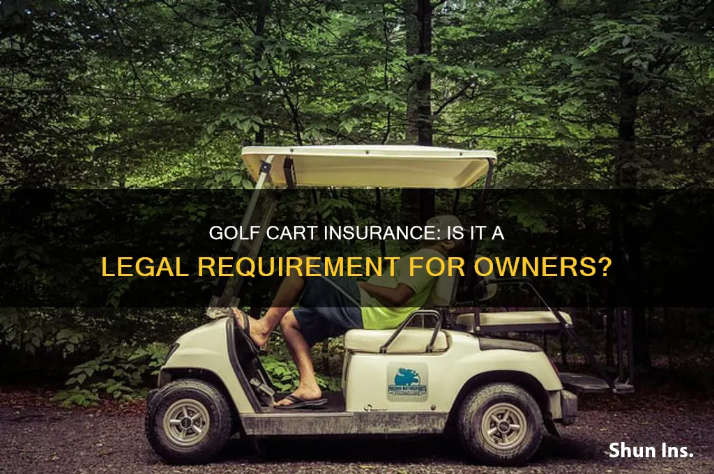 Golf Cart Insurance: Is It A Legal Requirement For Owners? | ShunIns