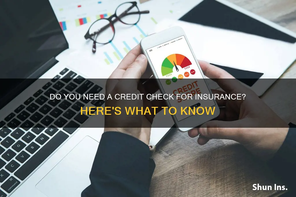 Do You Need A Credit Check For Insurance? Here's What To Know | ShunIns
