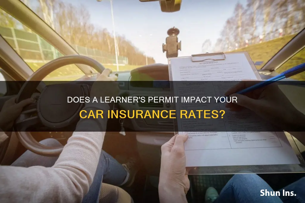 Does A Learner's Permit Impact Your Car Insurance Rates? | ShunIns