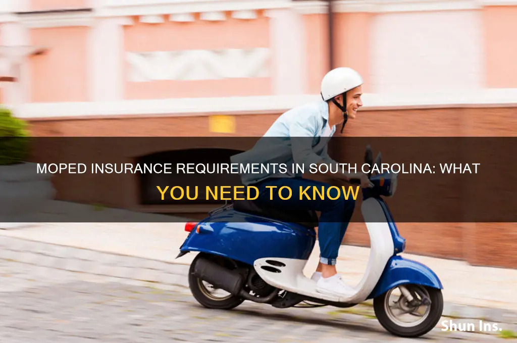 Moped Insurance Requirements In South Carolina: What You Need To Know ...