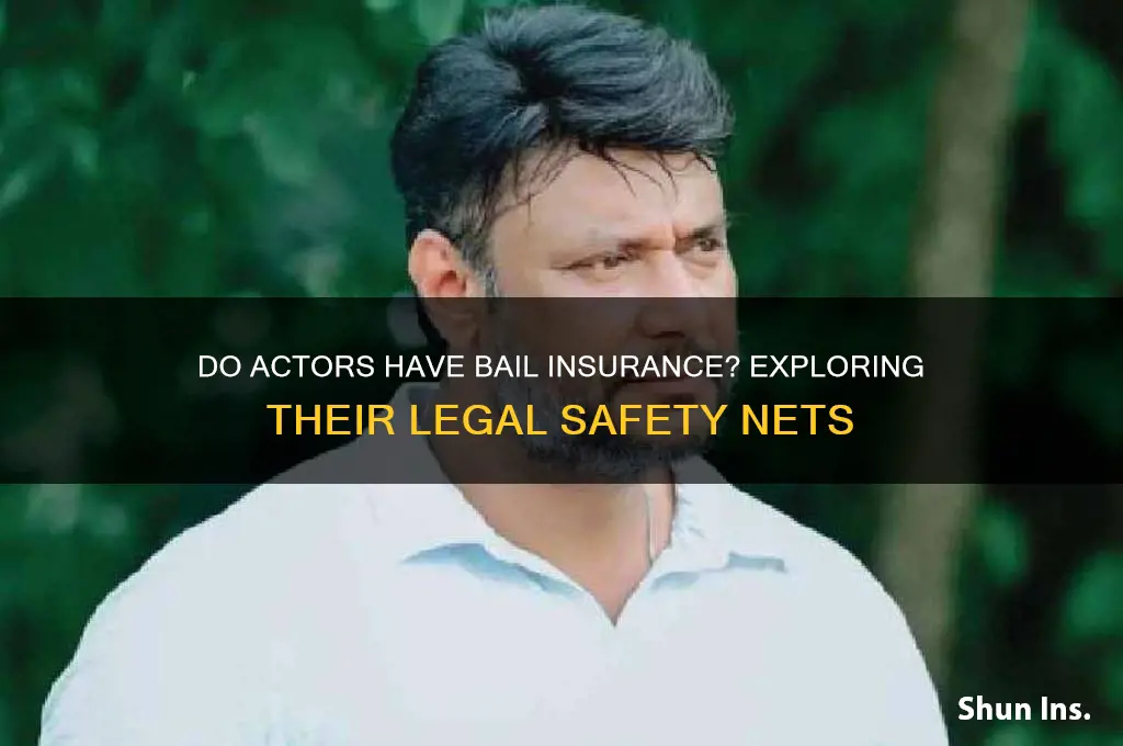 Do Actors Have Bail Insurance? Exploring Their Legal Safety Nets | ShunIns