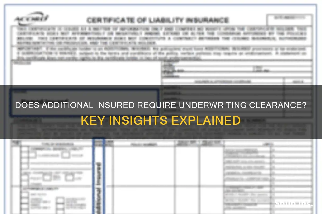 Does Additional Insured Require Underwriting Clearance? Key Insights ...