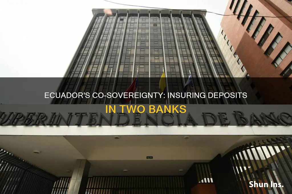 Ecuador's Co-Sovereignty: Insuring Deposits In Two Banks | ShunIns