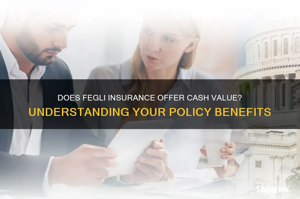 Does Fegli Insurance Offer Cash Value? Understanding Your Policy ...