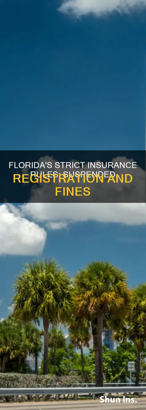 Florida's Strict Insurance Rules: Suspended Registration And Fines ...