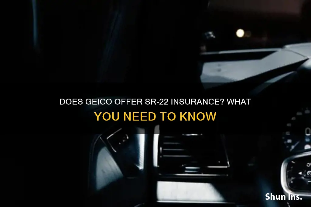 Does Geico Offer Sr-22 Insurance? What You Need To Know | ShunIns
