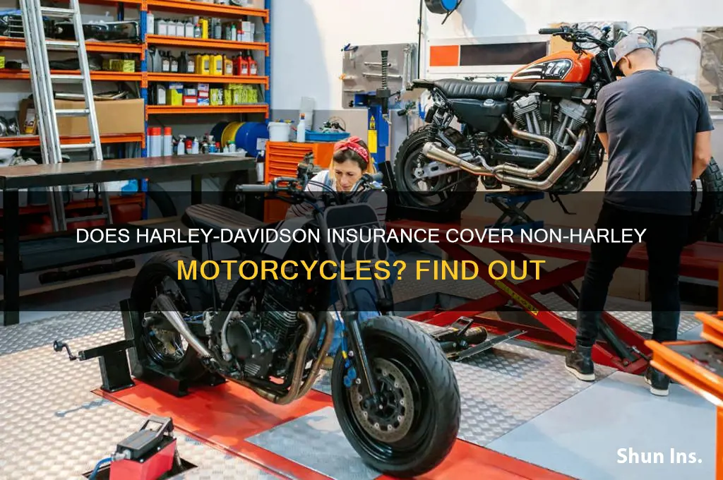 Does Harley-Davidson Insurance Cover Non-Harley Motorcycles? Find Out ...