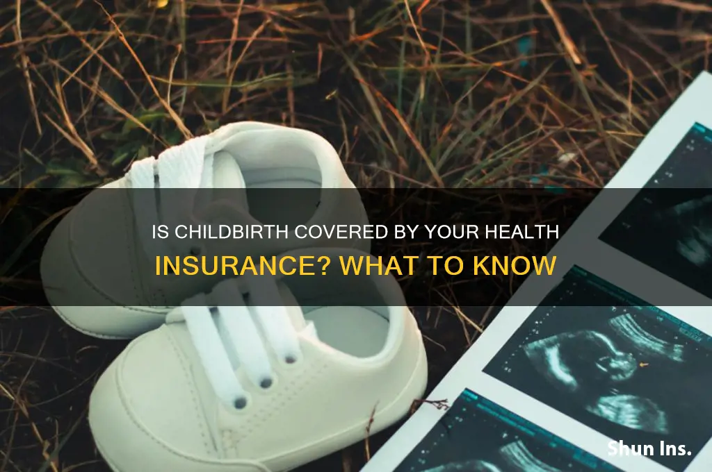Is Childbirth Covered By Your Health Insurance? What To Know | ShunIns