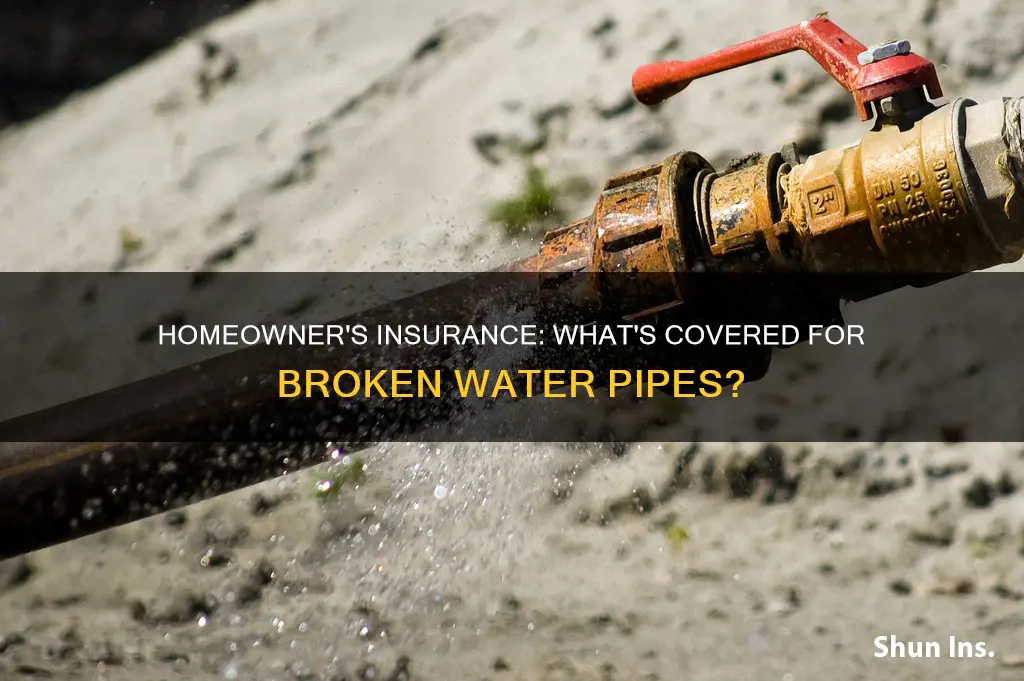 Homeowner's Insurance: What's Covered For Broken Water Pipes? | ShunIns