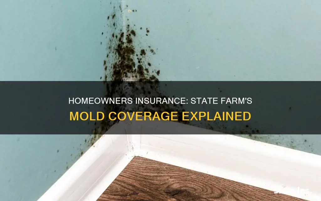 Homeowners Insurance: State Farm's Mold Coverage Explained | ShunIns