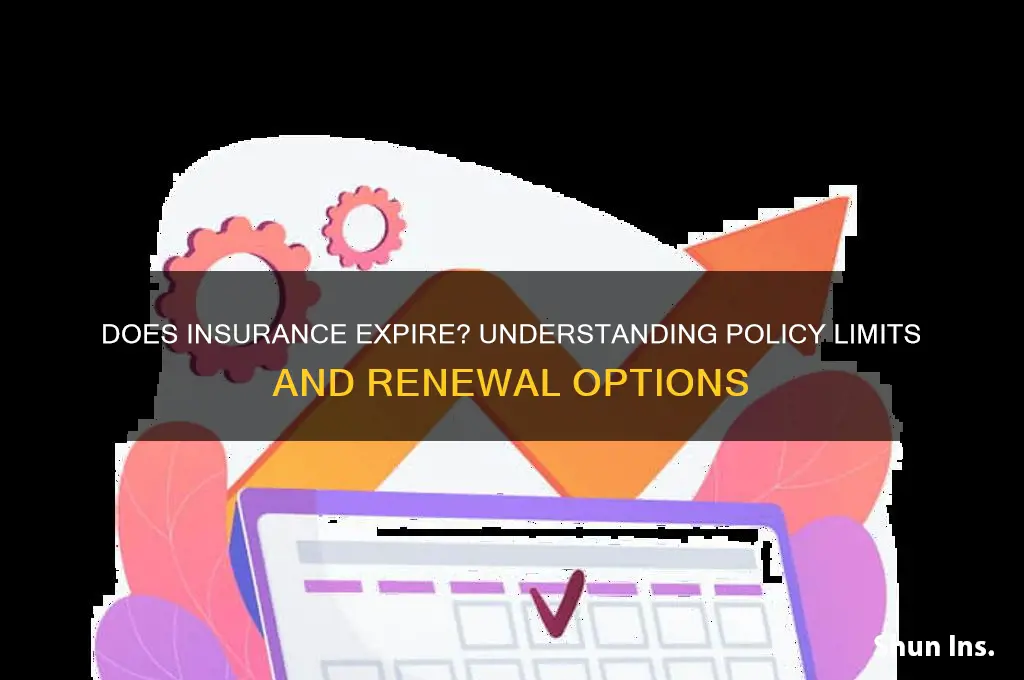 Does Insurance Expire? Understanding Policy Limits And Renewal Options ...