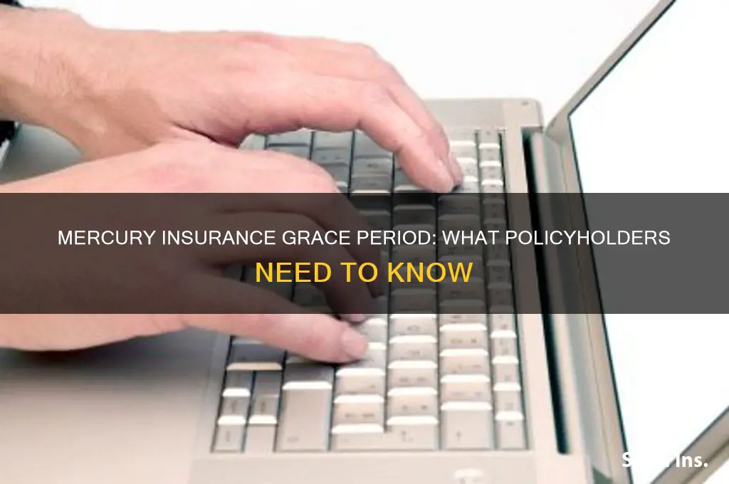Mercury Insurance Grace Period: What Policyholders Need To Know | ShunIns