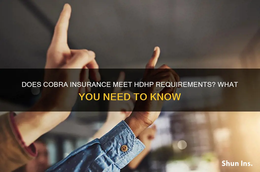 Does Cobra Insurance Meet Hdhp Requirements? What You Need To Know ...