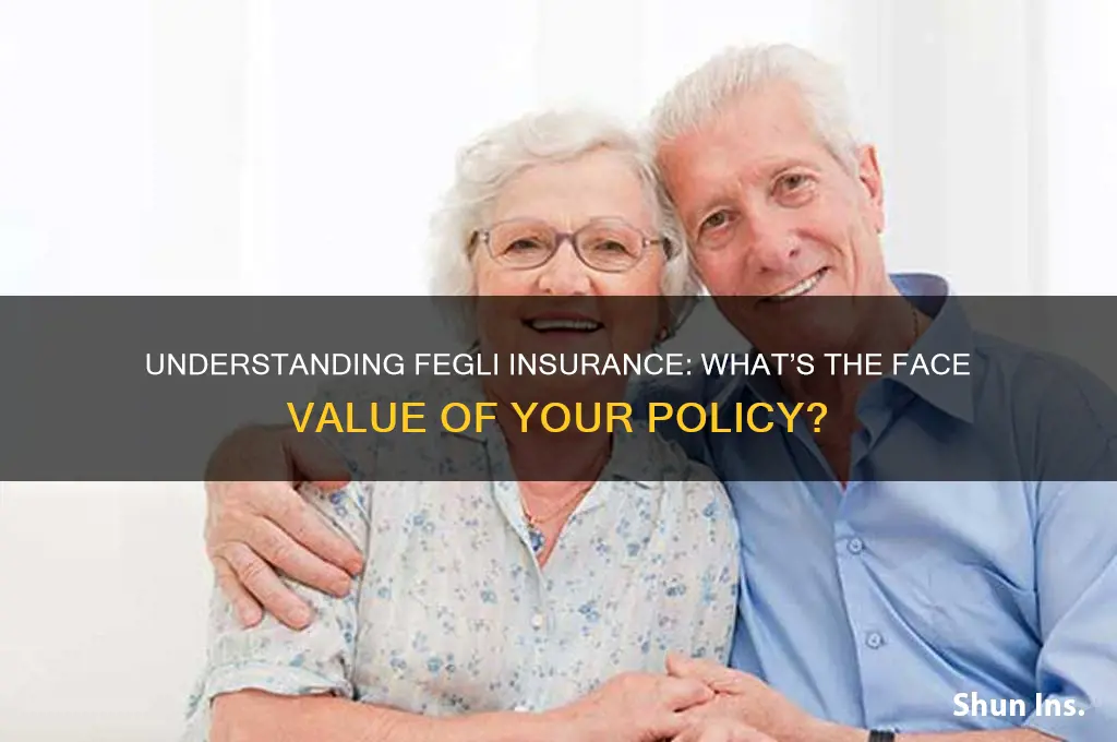 Understanding Fegli Insurance: What’S The Face Value Of Your Policy ...