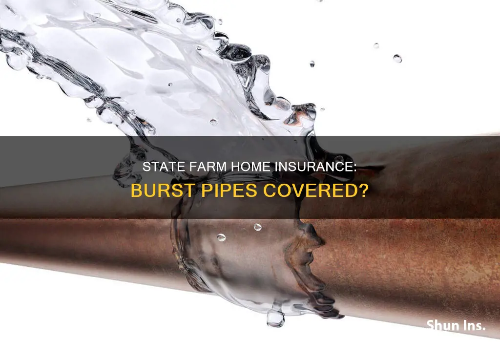State Farm Home Insurance: Burst Pipes Covered? | ShunIns