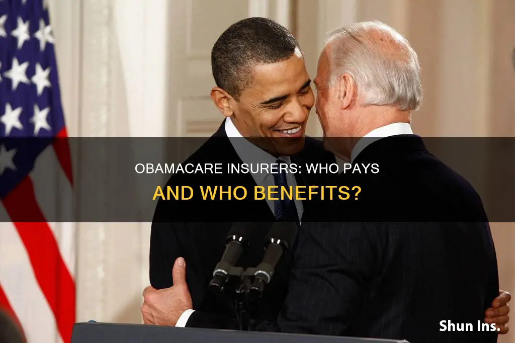 Obamacare Insurers: Who Pays And Who Benefits? | ShunIns