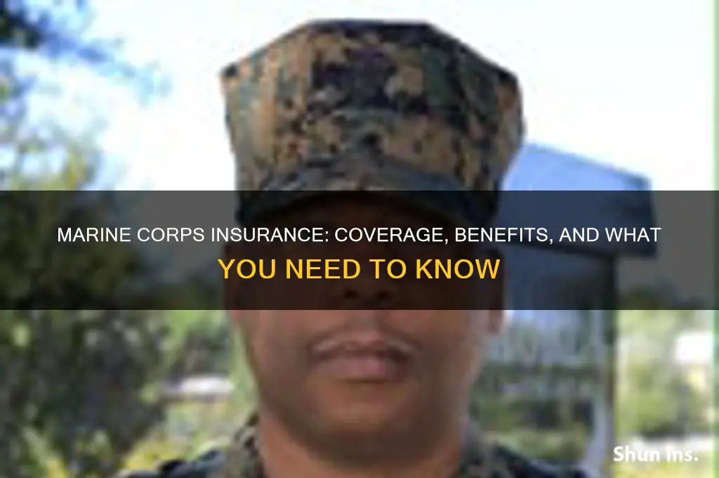 Marine Corps Insurance: Coverage, Benefits, And What You Need To Know ...