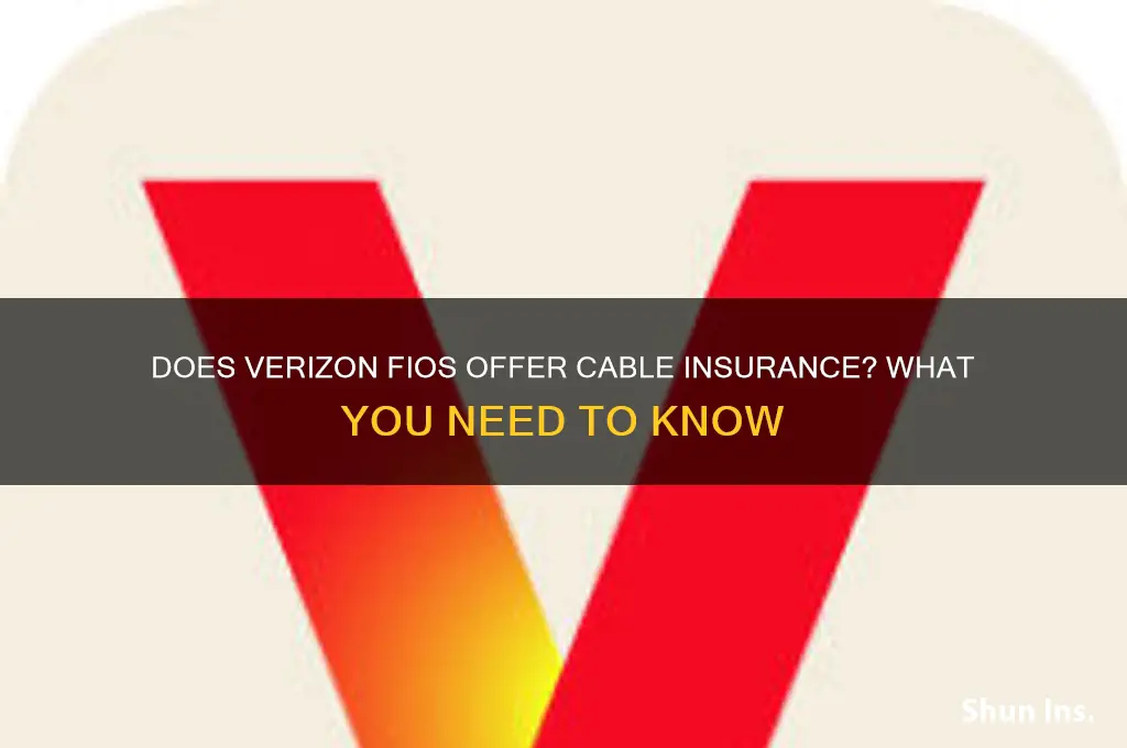 Does Verizon Fios Offer Cable Insurance? What You Need To Know | ShunIns