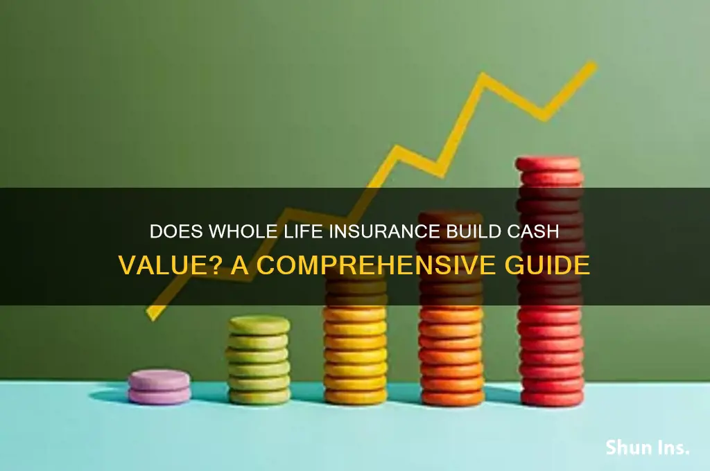Does Whole Life Insurance Build Cash Value? A Comprehensive Guide | ShunIns