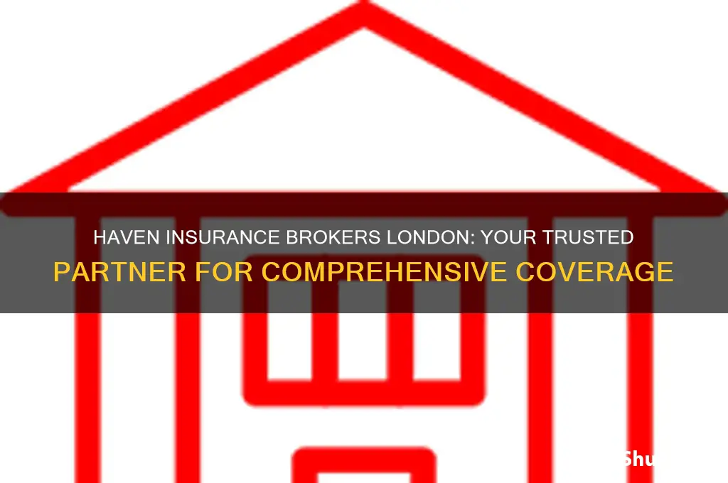 Haven Insurance Brokers London: Your Trusted Partner For Comprehensive ...