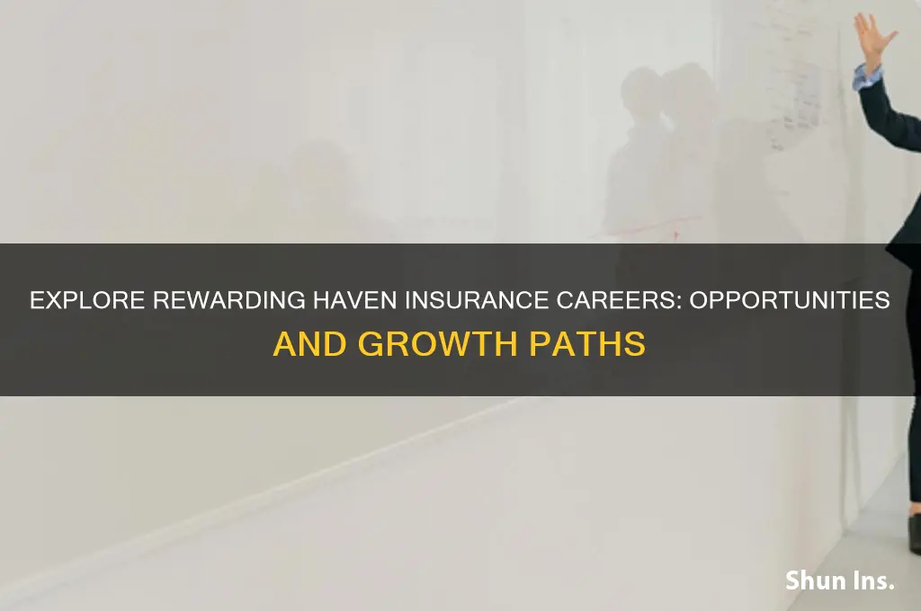 Explore Rewarding Haven Insurance Careers: Opportunities And Growth ...