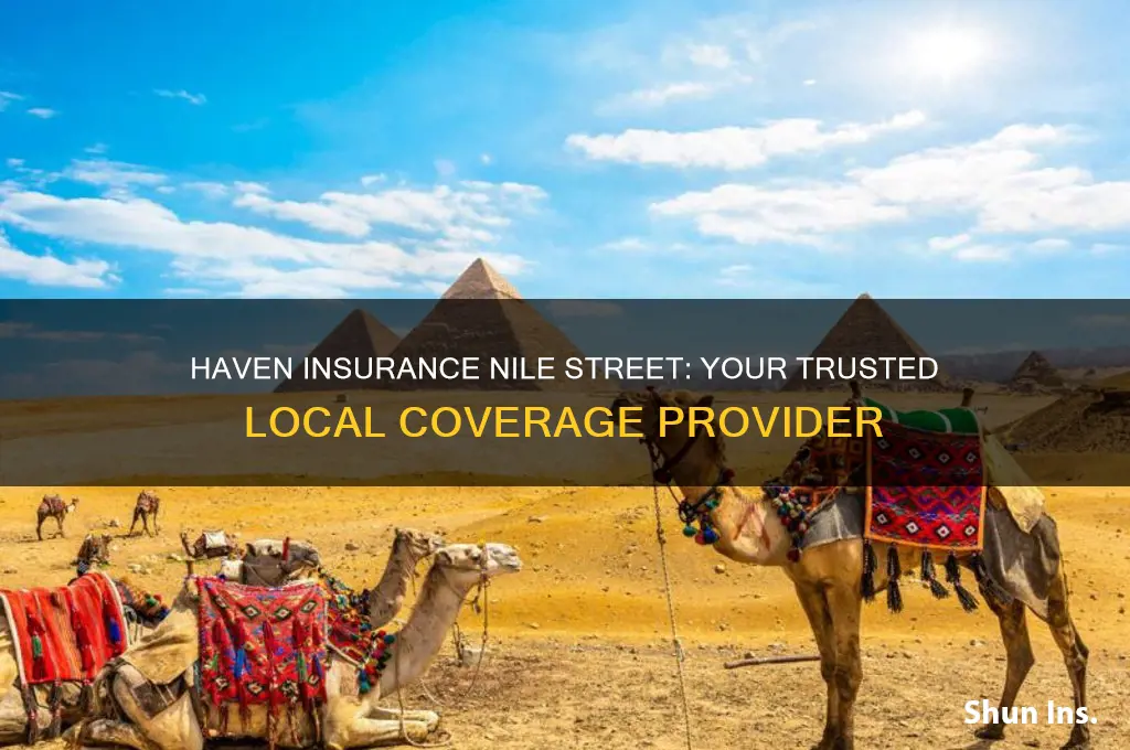 Haven Insurance Nile Street: Your Trusted Local Coverage Provider | ShunIns