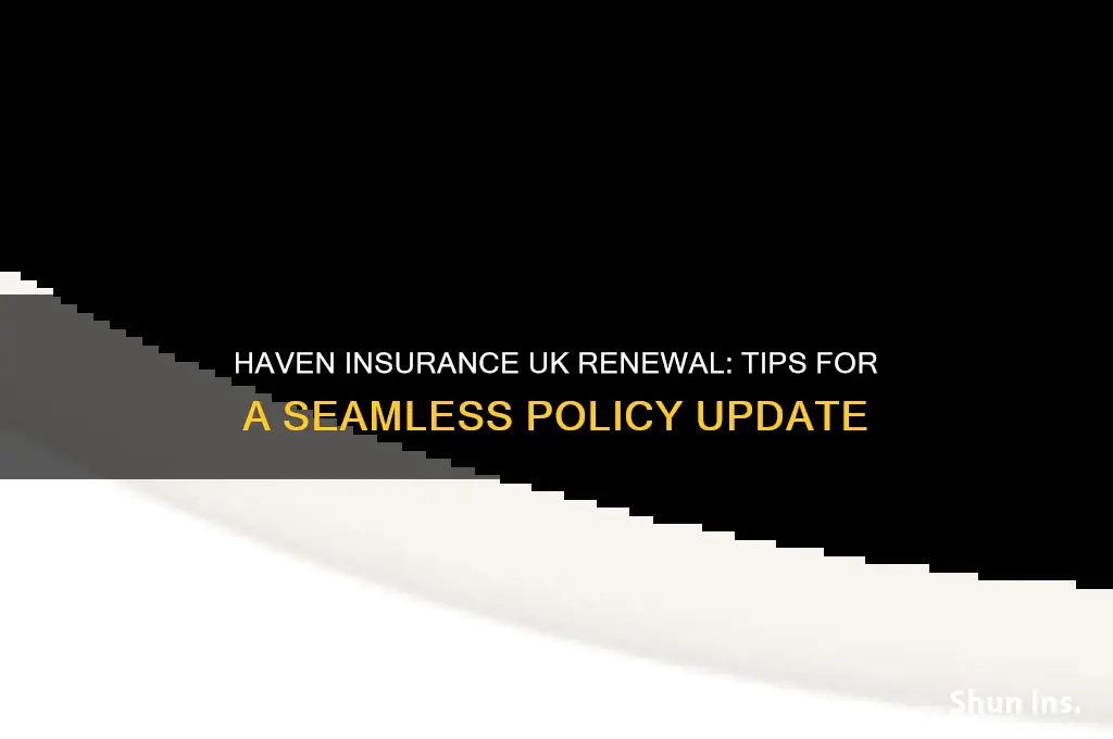 Haven Insurance Uk Renewal: Tips For A Seamless Policy Update | ShunIns