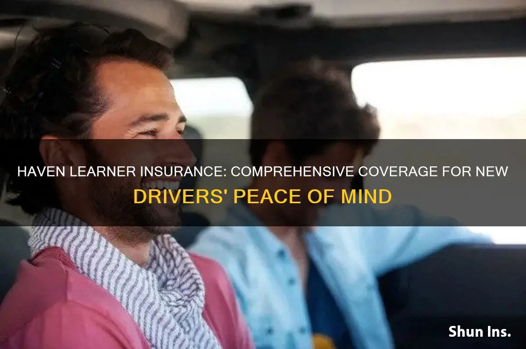 Haven Learner Insurance: Comprehensive Coverage For New Drivers' Peace ...