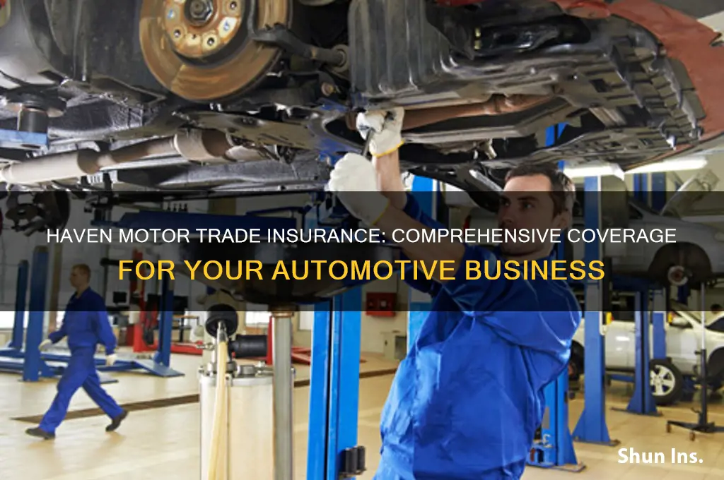 Haven Motor Trade Insurance: Comprehensive Coverage For Your Automotive ...