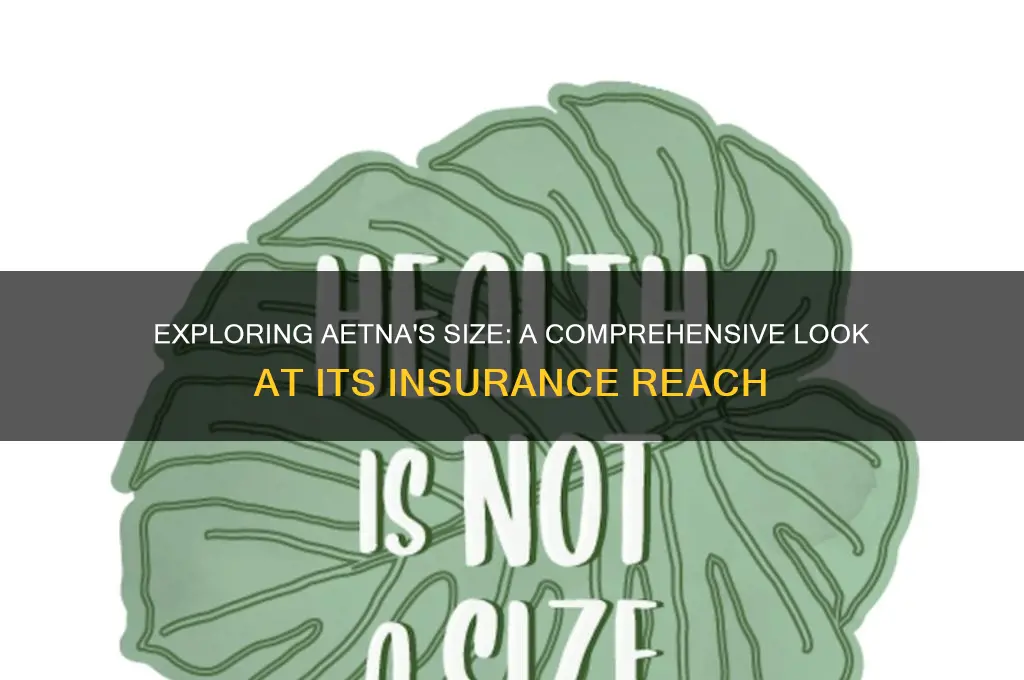 Exploring Aetna's Size: A Comprehensive Look At Its Insurance Reach ...