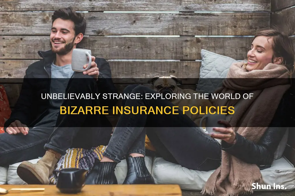 Unbelievably Strange: Exploring The World Of Bizarre Insurance Policies ...